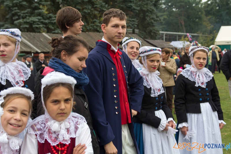 Pyra Poznańska, czyli festyn w Szreniawie - Lepszy Poznań - informacje ...